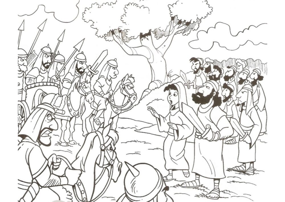 Desenhos bíblicos para colorir sobre as histórias de Débora e de Gideão ...